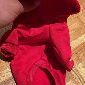 Sunny Delight Marigold, Nasturtium Organic for Pets Such as Rabbit ...