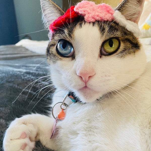 Heart Headband for Cats, Valentine's Day Cat Accessories, Cat Photo ...