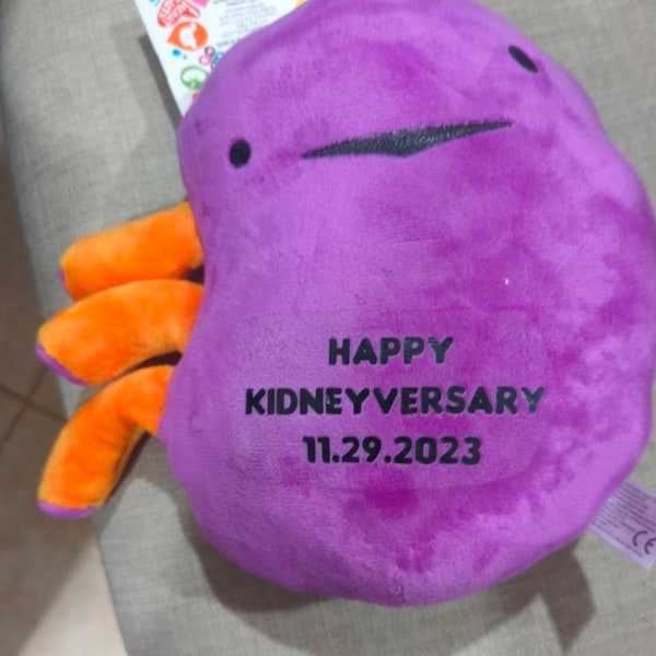 Colon Plushie You Move Me I Heart Guts | Organ Stuffed Toy Pillow ...