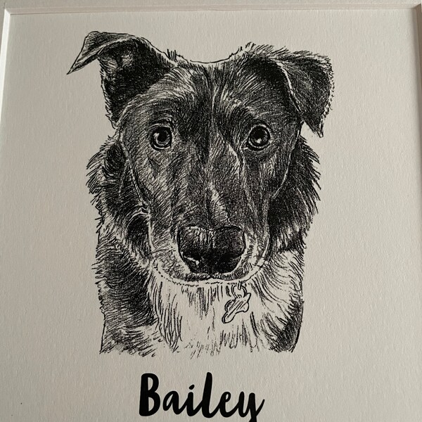 Personalised Pet Sketch, Custom Animal Drawing, Bespoke Portrait, Dog ...