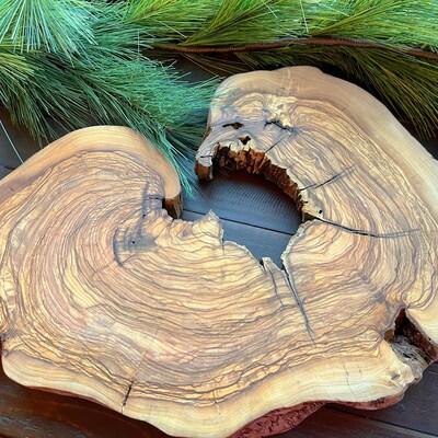 Unique Olive Tree for Presentation, Decorative Sculptures From Olive ...