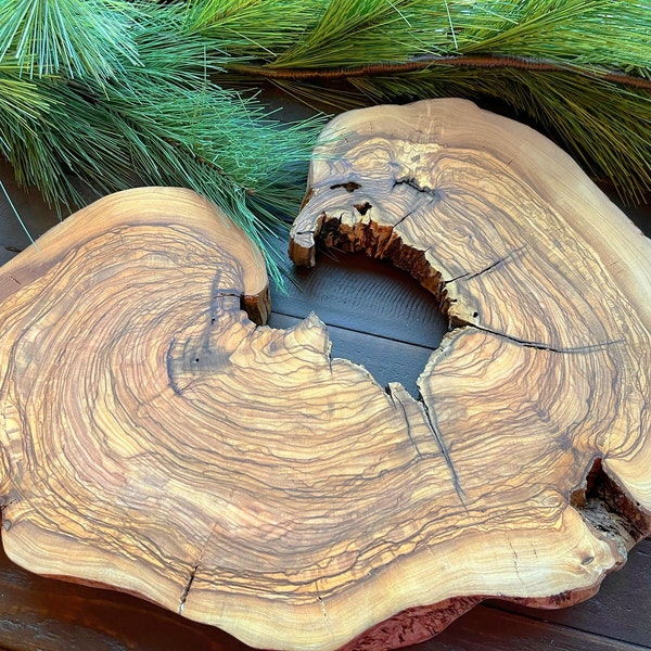 Large Olive Tree Root Sheet , Live Edge Root Slice With Which You Can ...