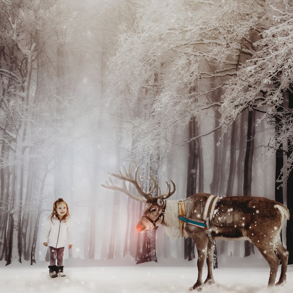 Rudolph the Red Nosed Reindeer Christmas Holiday Digital Backdrop ...