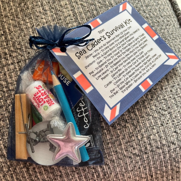 Good Luck on Your Travels Survival Kit ~ Fun Novelty Gift | Good Luck ...