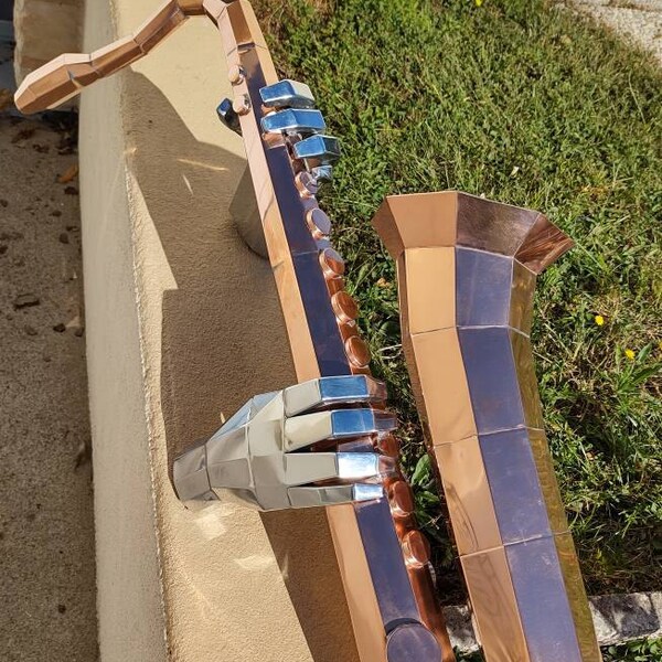 CELL PAPERCRAFT, Printable Animal Plant Cell, Education Papercraft, Diy ...