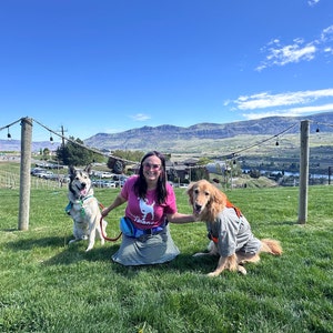 Itty Pittie, Mini Plush Pitbull, Mini Pitbull, Pitbull Doll, Mini Dog ...