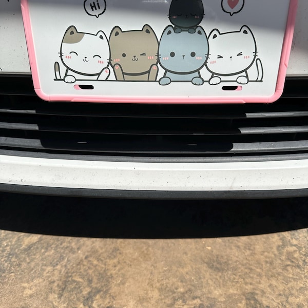 Trump You Missed Vanity Plate Vanity Plate Front License Plate Stay Mad ...