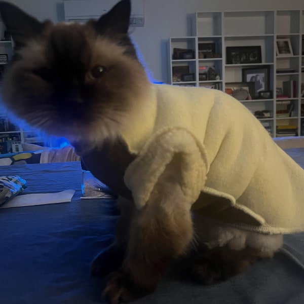 Sizes COMIC Cat Clothes for a Sphynx Cat, Sphynx Cat Clothes, Pet ...
