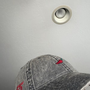 Carlos Sainz Formula 1 Chili Pepper Vintage Distressed Dad Cap Smooth ...