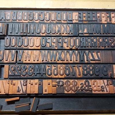 Vintage Golden Press Trees of North America Nature Ephemera - Etsy