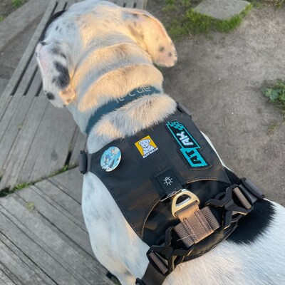 Gundam EFSF Earth Federation Space Force Logo Embroidered Sew on Patch ...