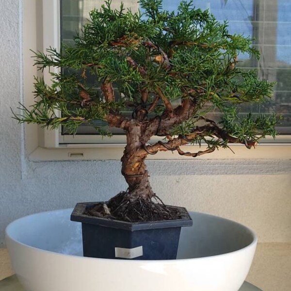 Hanging Rustic Half Moon Bucket Bowl Style Garden Indoor Outdoor ...