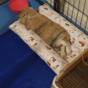 Digital Download Plans for Luxury Bunny Cubby Free Roam Bunnies Cat ...