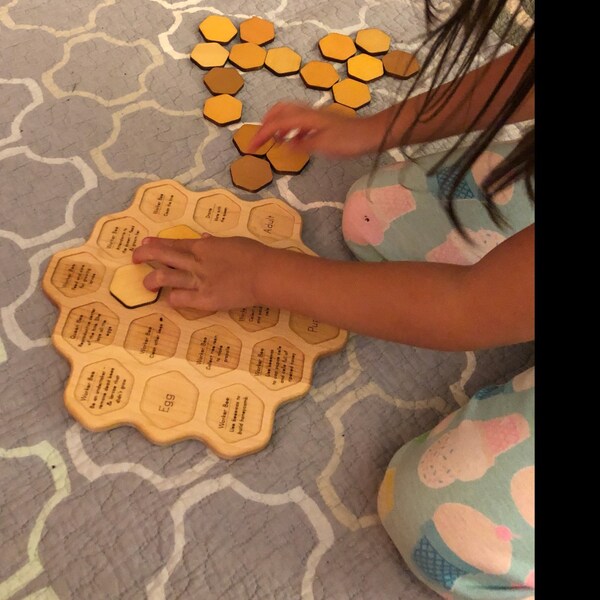 Honey Bee Puzzle Honeycomb Bee Life Cycle Honey Bee Learning Kit Types ...