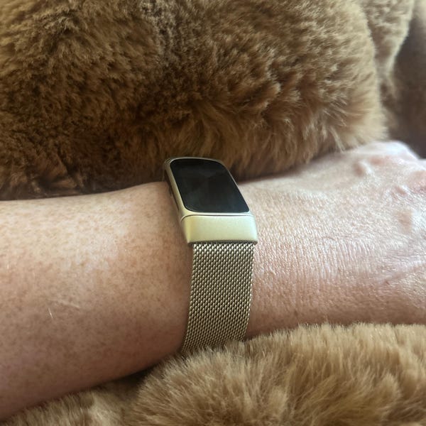 DIY One Pair/set Connectors(2pcs W/ 2pins) for Fitbit Luxe,fitbit ...