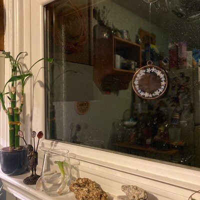 Glass Pressed Round Circle Flower Frame Forget Me Not Blue Wall Hanging ...