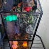 3D Universal Treehouse Insert for Jumping Spiders and Invertebrate ...