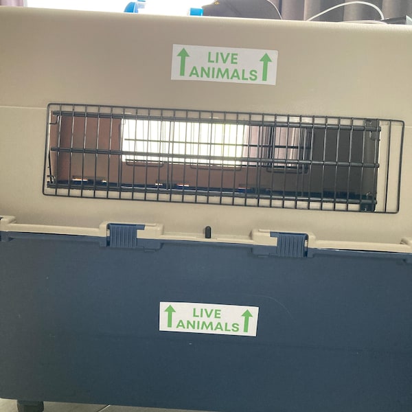 IATA Pet Stickers / IATA Required Pet Stickers / Airline Cargo Crate ...