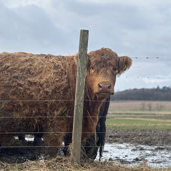 Obsession Love Spell Same Day Cast, Powerful Attractive Love Spell Fast ...