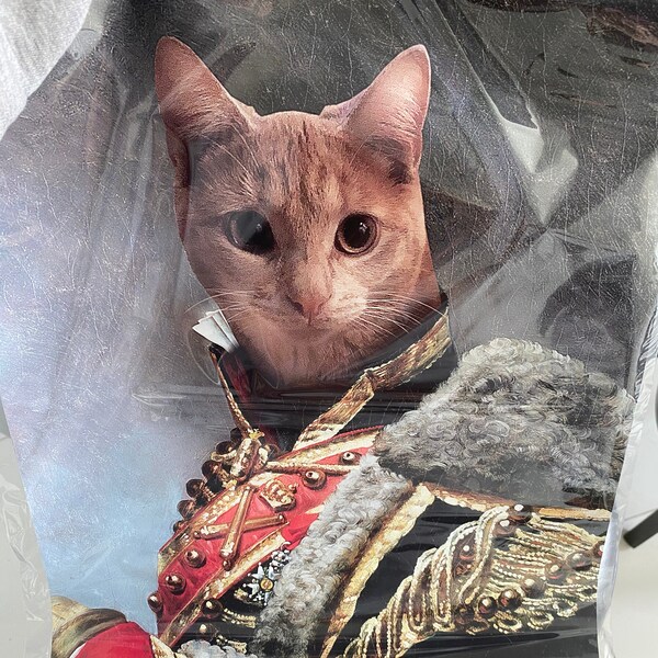 Custom Pet Soldier Portrait, Custom Dog Portrait, Pet Portraits, Pet ...