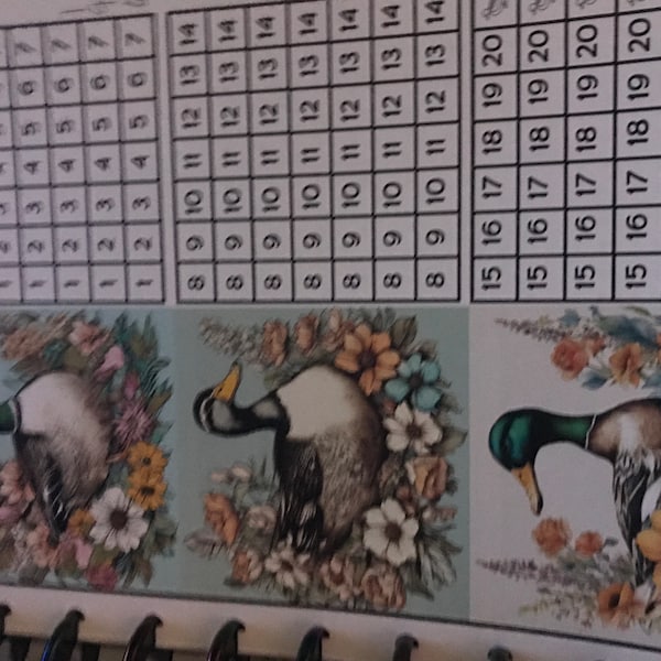 Get Your Ducks in A Row and Save Money- Savings Challenge and Cash ...