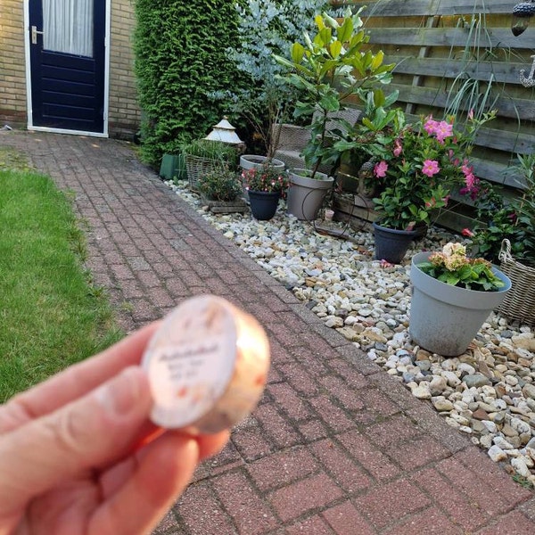 Printable Fuzzy Cutting Butterflies Spring Tulips Spring Elements ...