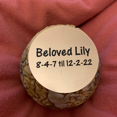 6 X 8 Inch OUTDOOR Grade Aluminum Community Project Marker/sign Made in ...