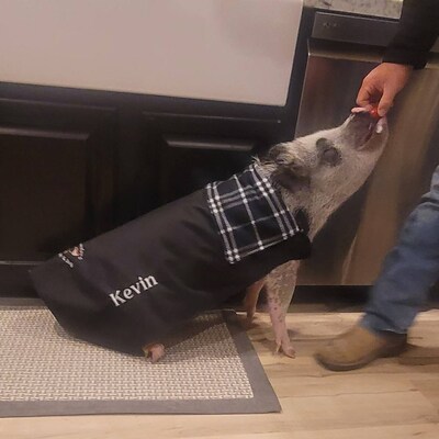 Pet Neck Scarf Dog Neck Warmer Puppy Scarf Winter Dog Scarf - Etsy