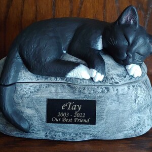 Ceramic Engraved Painted Cat Cremation Urn With Plastic Name - Etsy Canada