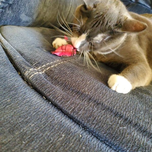 Chinese Takeout, Asian Hot Sauce Packet Catnip Cat Toy - Etsy