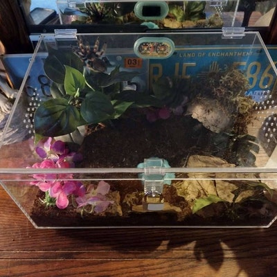 Reptile Arboreal 10 Gallon Front Opening Enclosure, Terrariums ...