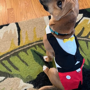 Dog Show Training Stack Box Toy Adult Size Stack Training 20 X 12 ...