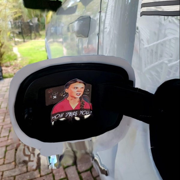 Greta Thunberg How Dare You Vinyl Sticker, Vinyl Decal Sticker for ...