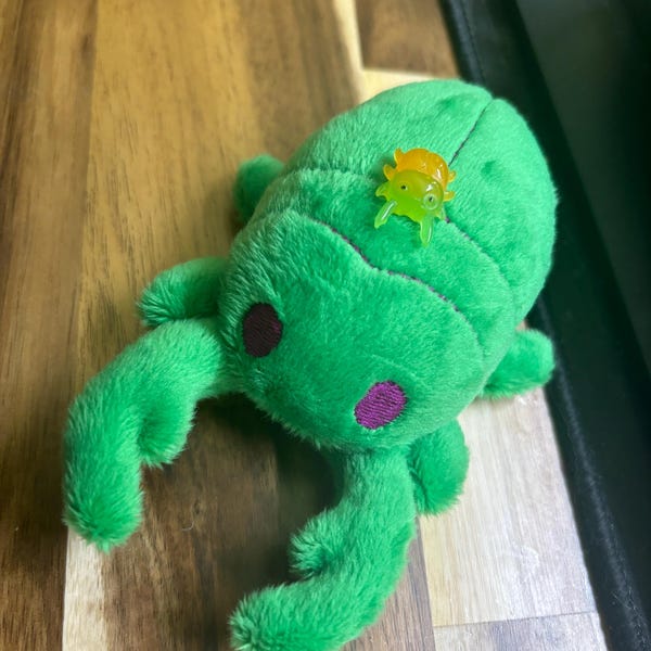 SALE Squeaky Colorful Minky Stag Beetle Plush Magnetic Adorable Cute ...