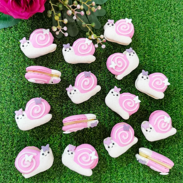 Printable Teddy Bear Macaron Template - Etsy