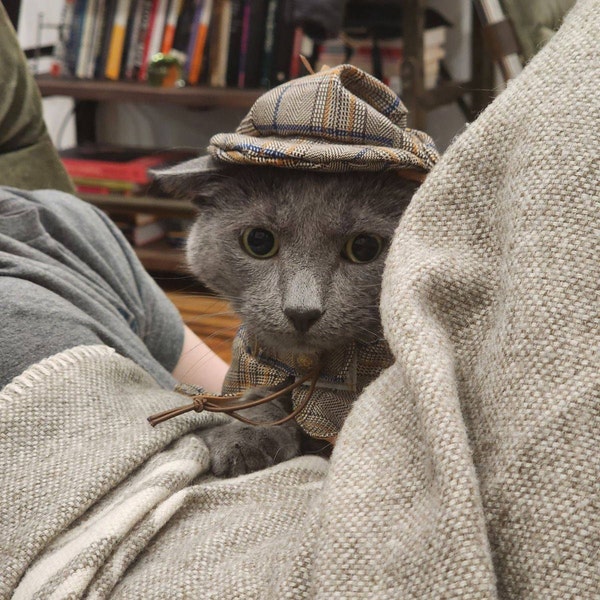 Cat Detective Costume Halloween, Sherlock Holmes Cape & Deerstalker Hat ...