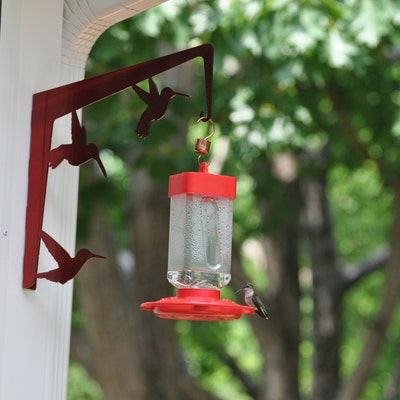 Hummingbird Feeder Hanger / Bracket / Holder Plant Hanger / Bracket - Etsy