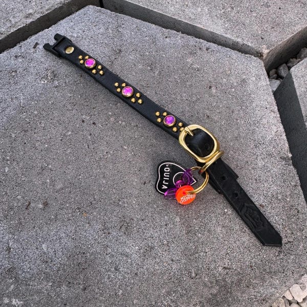 Microchipped Mini, Tiny Accessory for Pet ID Tag, Cats and Dogs Add-on ...