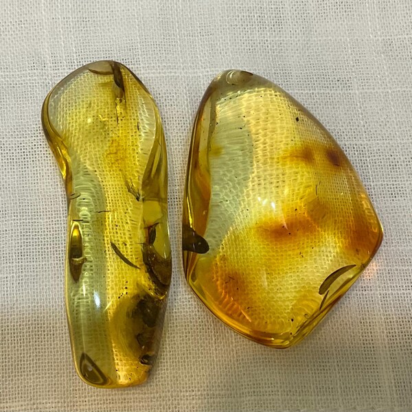 Large Amber Stone, Collectors Specimen, Amber Stone for Display ...