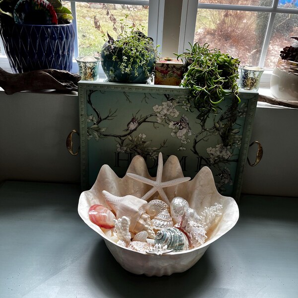 Embellished Spindle Shell With Swarovski Crystals and Pearl Accents ...