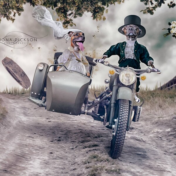 Runaway Sidecar Digital Background / Valentines Backgrounds & Overlays ...