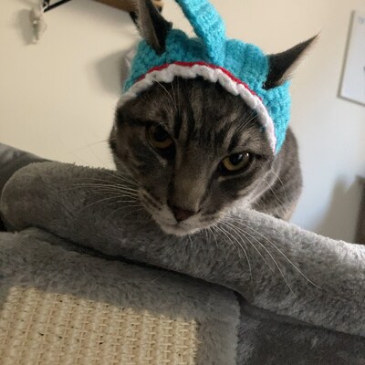 White Snowbell Flower Cat Hat Crochet Cat Hat Cat Costumes Cat - Etsy