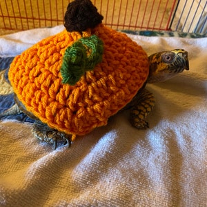 Pumpkin Halloween Tortoise Sweater Turtle Costume Pet - Etsy