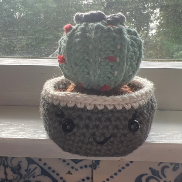 Barrel Cactus Crochet Pattern - Etsy