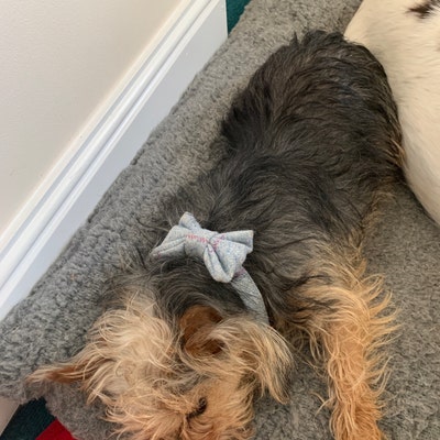 Periwinkle Blue, Grey Pink Tweed Dog Collar Optional Bow Lead Rose Gold ...