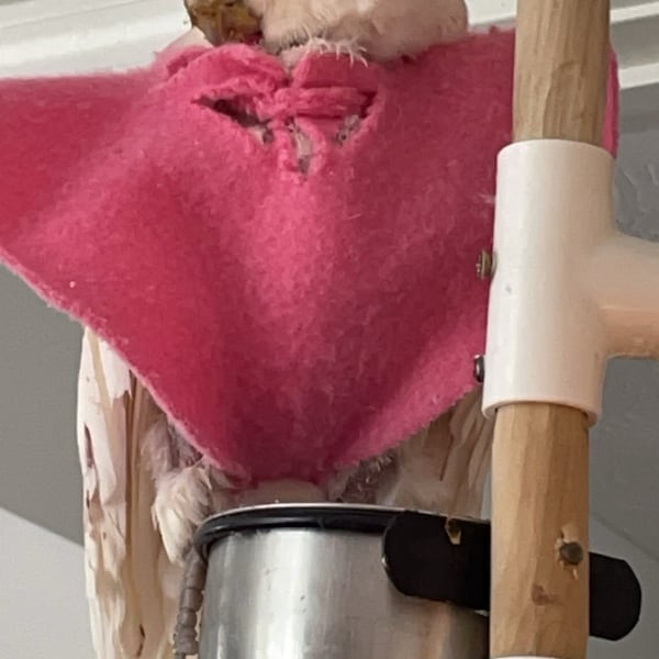Parrot Extra Coverage Clothing, Specifically for Birds That Pluck and ...