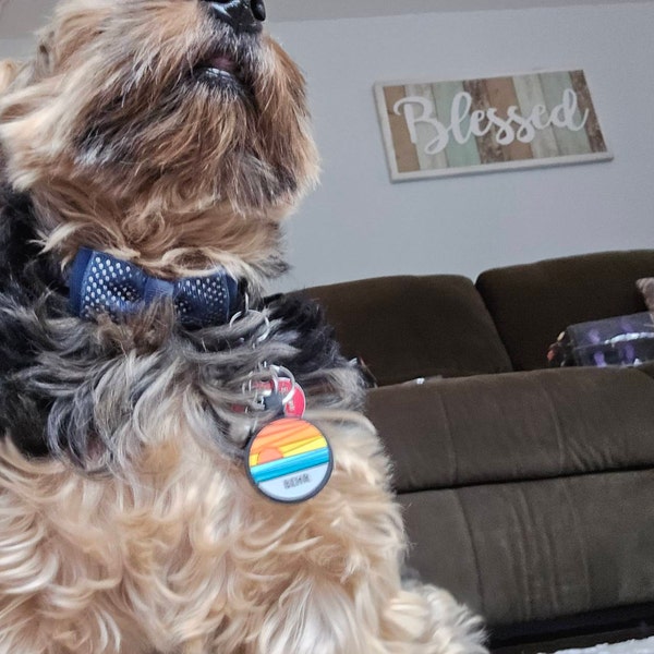 Love Your Pets Soundless Designer Pet ID Tag - Deep Engraved Silicone ...