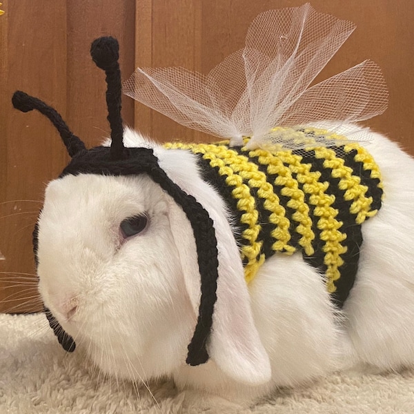 Rabbit Costume, Bumble Bee Costume, Bumble Bee Outfit, Rabbit Clothes ...