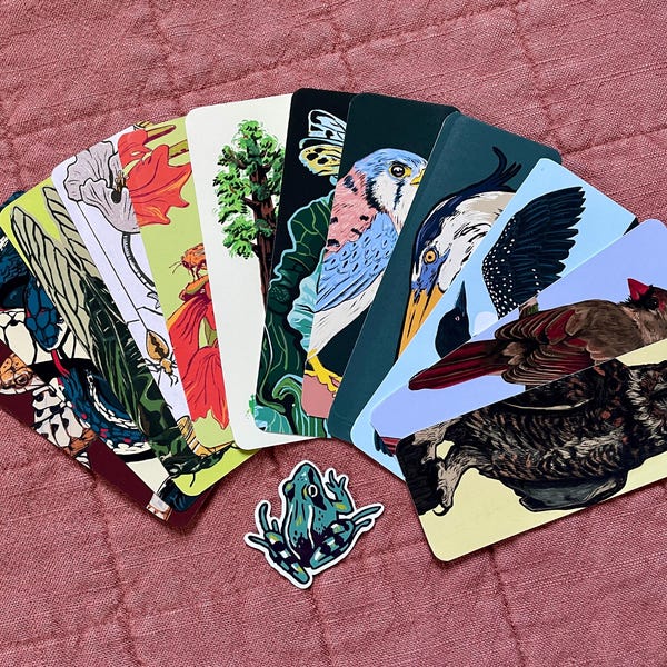 Garter Snake Sticker - Etsy