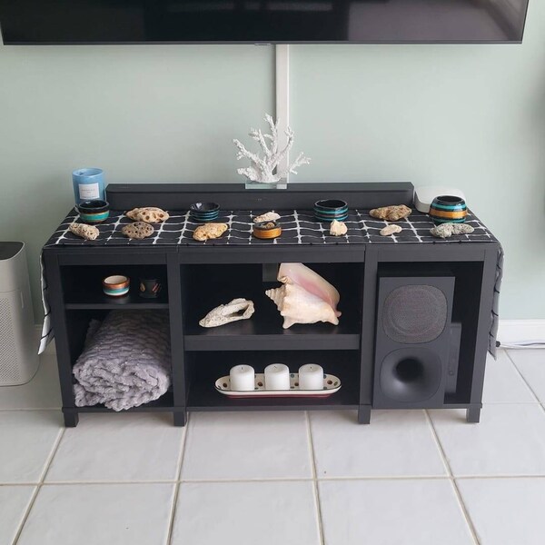 Bahamian Queen Conch Shell I Pink Conch Shell SLIT BACK I Large ...